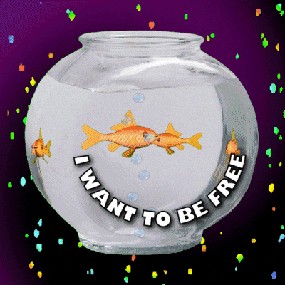 I Want To Be Free Let Me Out GIF - Find & Share on GIPHY