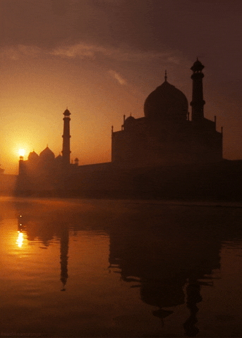 Taj Mahal India GIF by Head Like an Orange - Find & Share on GIPHY