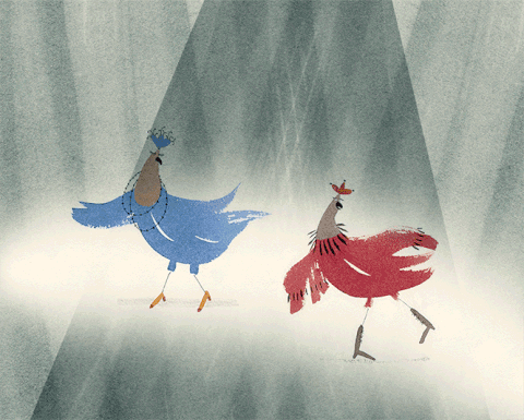 Dancando Frango Gif Tumblr