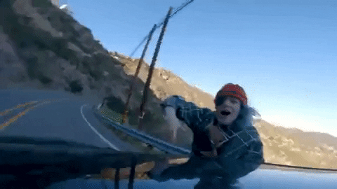 Elevate GIF by 347aidan - Find & Share on GIPHY