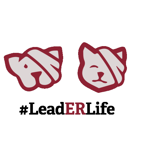 LeadERVET GIFs on GIPHY - Be Animated