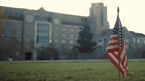Noles GIFs - Get the best GIF on GIPHY