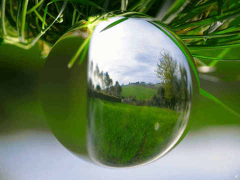 Global Public Affairs GIFs - Get the best GIF on GIPHY